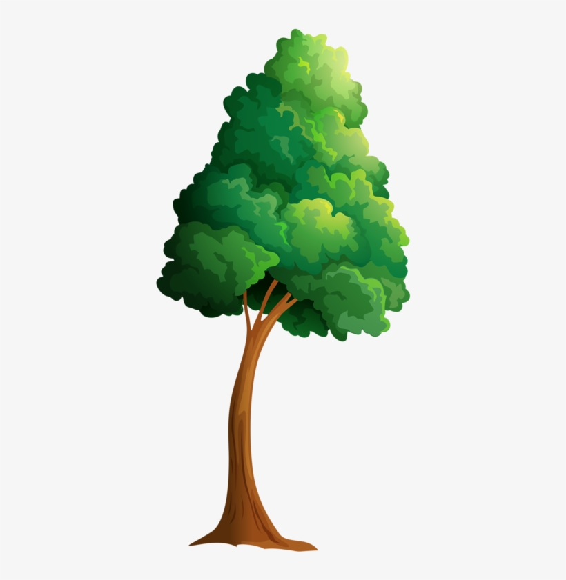 Download 11 - Ashoka Tree In Cartoon | Transparent PNG Download | SeekPNG