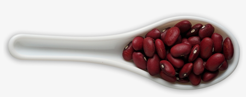 Beans Png Transparent Images Pluspng Red - Common Bean PNG Image ...