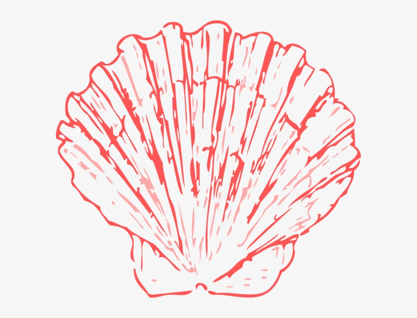 28 Collection Of Sea Shells Clipart Png - Shells Png PNG Image ...