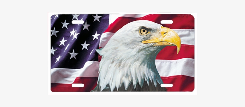 American-eagle - License Plate Usa Eagle Flag PNG Image | Transparent ...