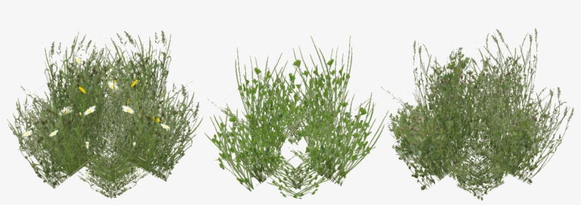 Grass Slice - Sweet Grass PNG Image | Transparent PNG Free Download on ...