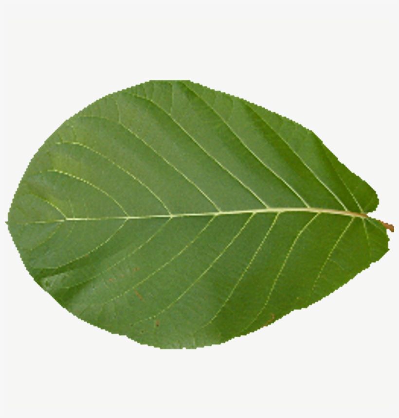 1024 X 1024 Png - Portable Network Graphics PNG Image | Transparent PNG ...