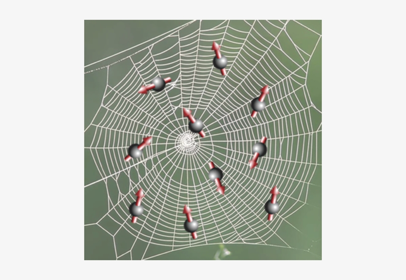 Figure Caption Expand Figure - Complete Spider Web PNG Image ...