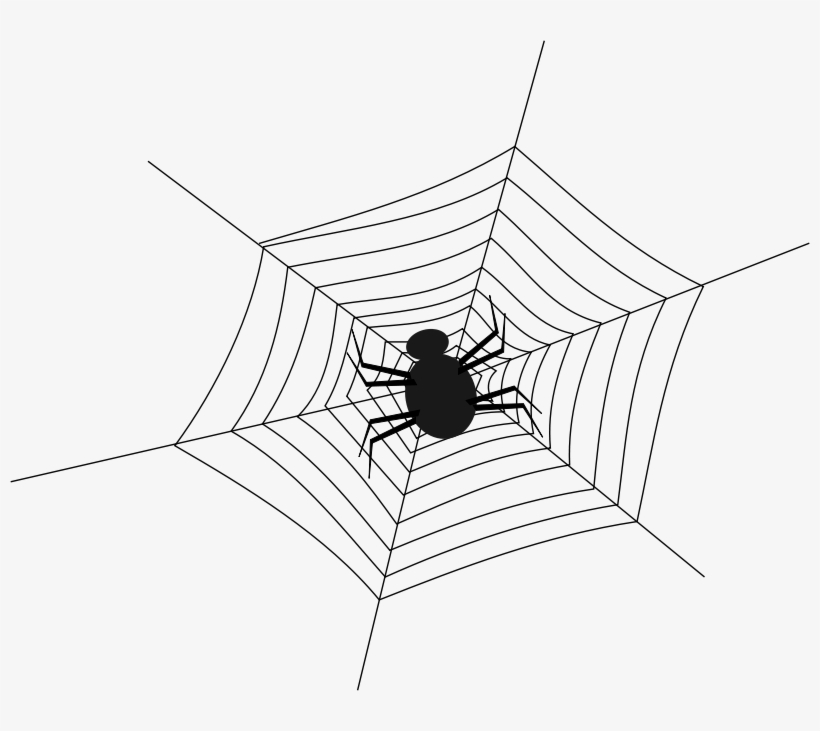 Spiderweb Scroll Free Spider - Png Spider PNG Image | Transparent PNG ...
