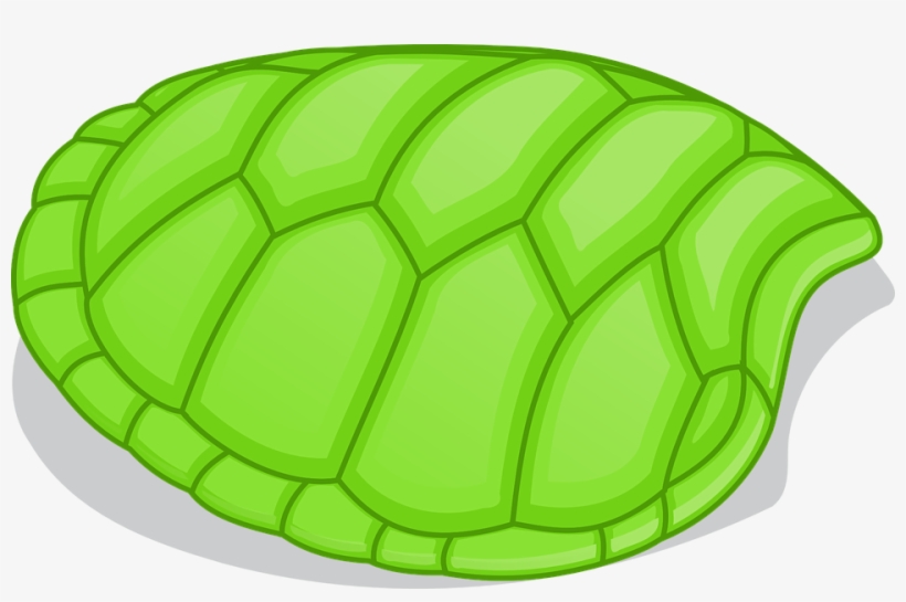How To Set Use Turtle Shell Svg Vector PNG Image | Transparent PNG Free ...