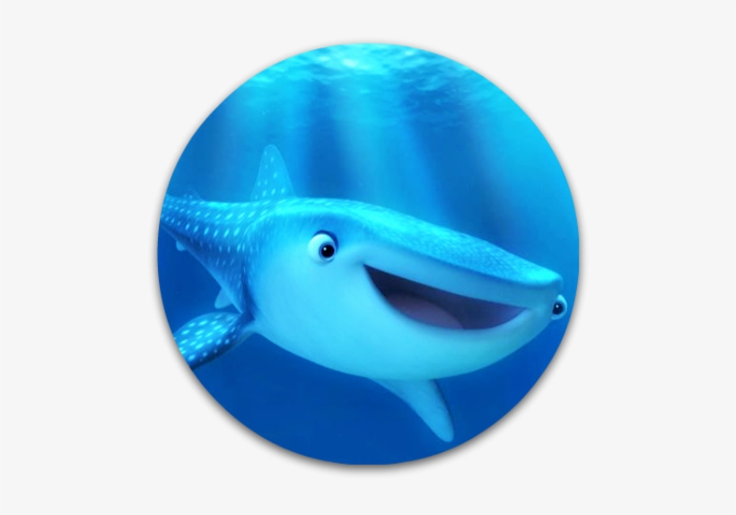 Download Matching Icons Finding Dory | Transparent PNG Download | SeekPNG