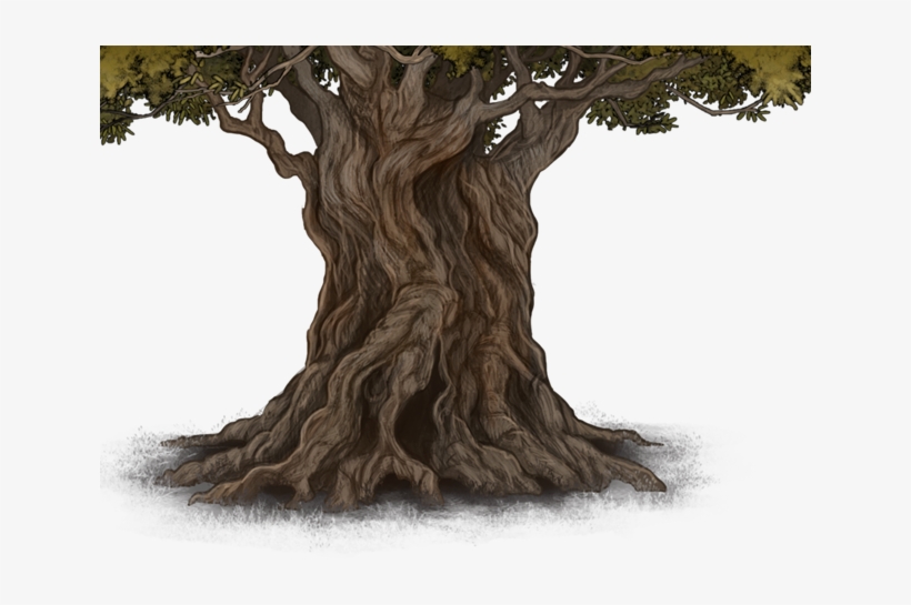 Root PNG Image | Transparent PNG Free Download on SeekPNG