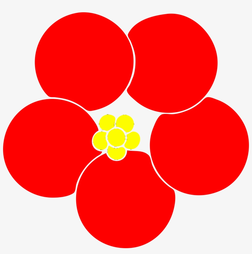 Common Poppy Poppies Remembrance Poppy - Remembrance Poppy PNG Image ...