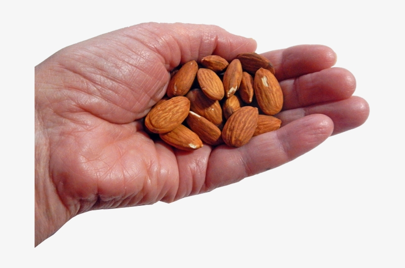 Enjoy A Healthy Handful Of Nuts - One Handful Nuts PNG Image ...