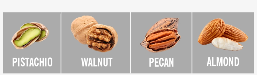 Omega-3 - Walnut PNG Image | Transparent PNG Free Download on SeekPNG