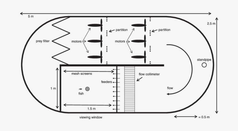 Top-view Diagram Of The Stream Tank, Drawn To Approximate - Water ...