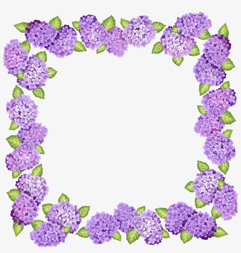 Drawing Hydrangeas Purple Hydrangea - Purple Floral Png Borders PNG ...