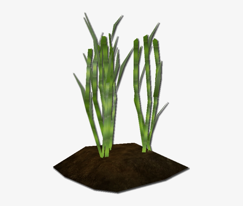 Download Sugar Cane - Sugar Canes Png | Transparent PNG Download | SeekPNG