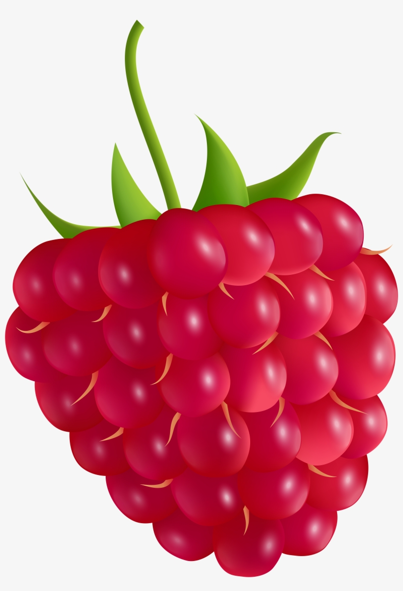 Download Raspberry Clipart At Getdrawings - Clip Art Raspberry ...
