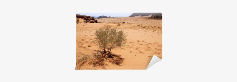 Erg PNG Image | Transparent PNG Free Download on SeekPNG