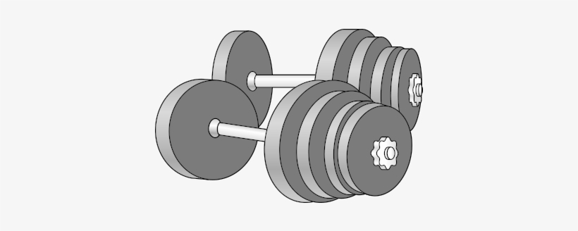 Weights - Weightlifting PNG Image | Transparent PNG Free Download on ...