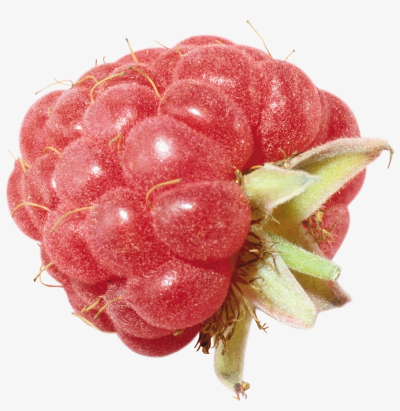 Download - Red Raspberry PNG Image | Transparent PNG Free Download on ...