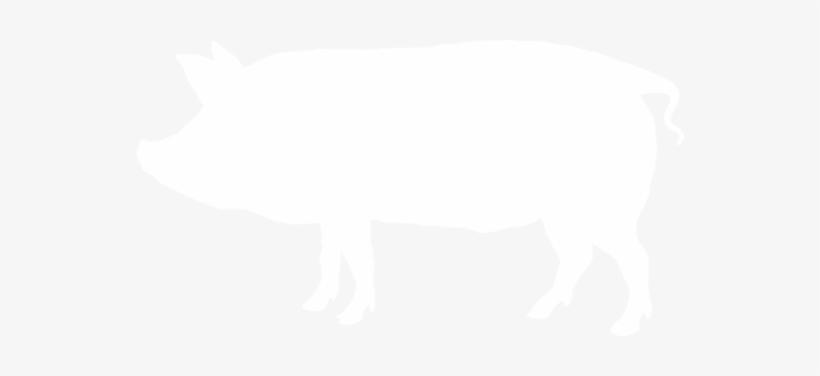 Clip Art Free Download Hog Clipart Angry - White Pig Png PNG Image ...