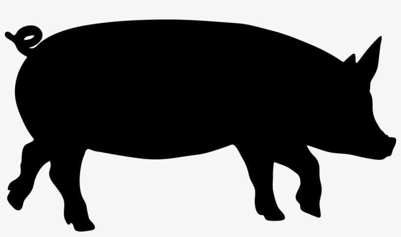Pigs - Hog Raffle PNG Image | Transparent PNG Free Download on SeekPNG