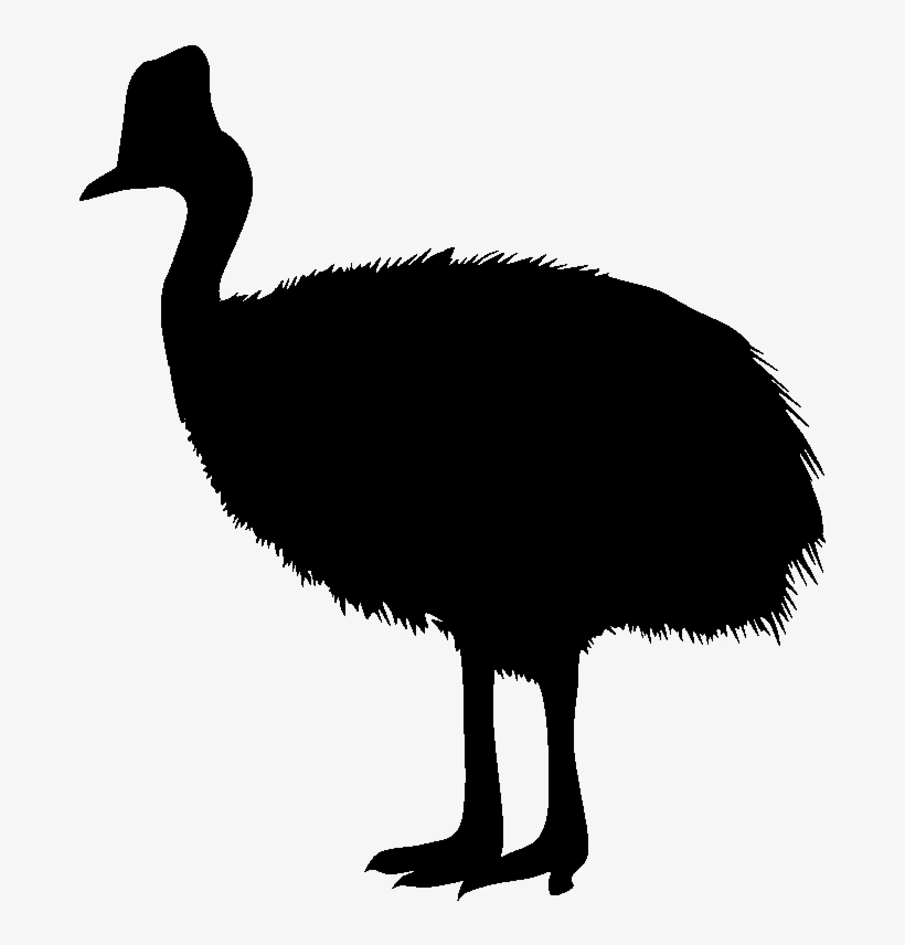 Make A Silhouette - Cassowary Silhouette PNG Image | Transparent PNG ...