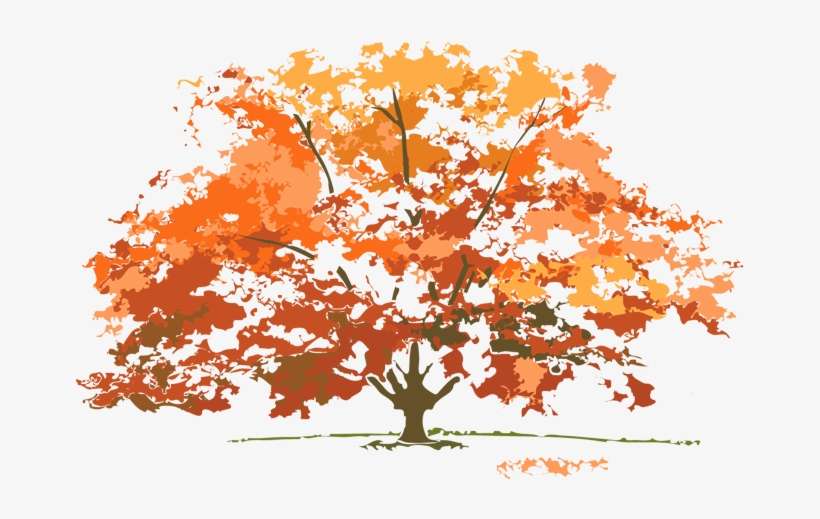 Dead Tree - Fall Trees Clipart Png PNG Image | Transparent PNG Free ...
