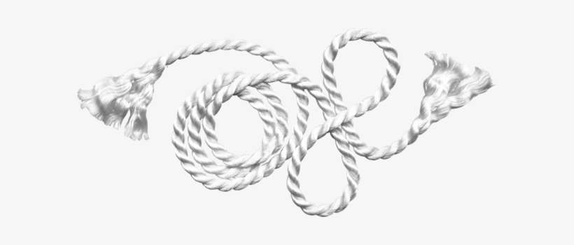 Rope PNG Image | Transparent PNG Free Download on SeekPNG