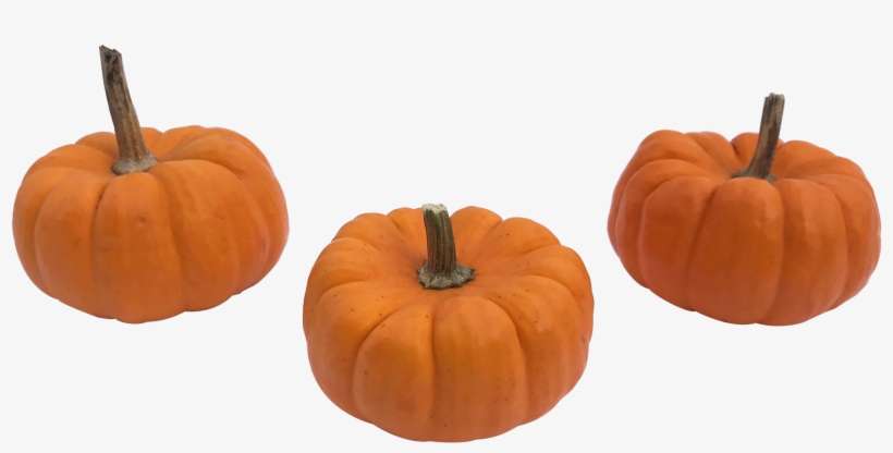 Pumpkins - Mini Pumpkin Png PNG Image | Transparent PNG Free Download ...