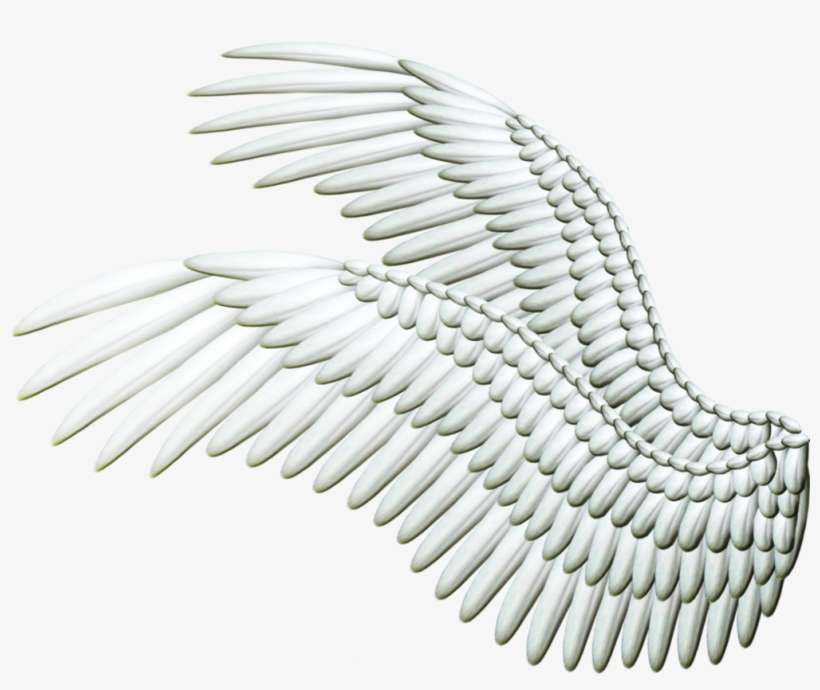 Angel Wing With Transparent Background PNG Image | Transparent PNG Free ...