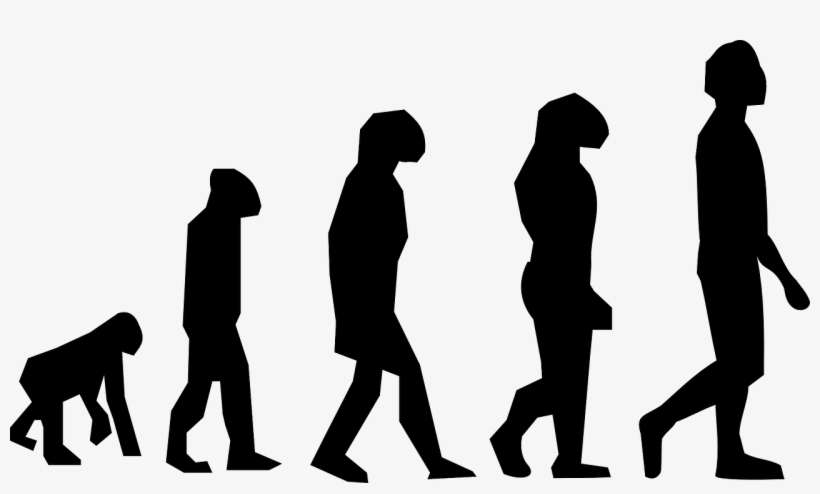 Download Clip Freeuse Transparent Human Evolving - Theory Of Evolution ...