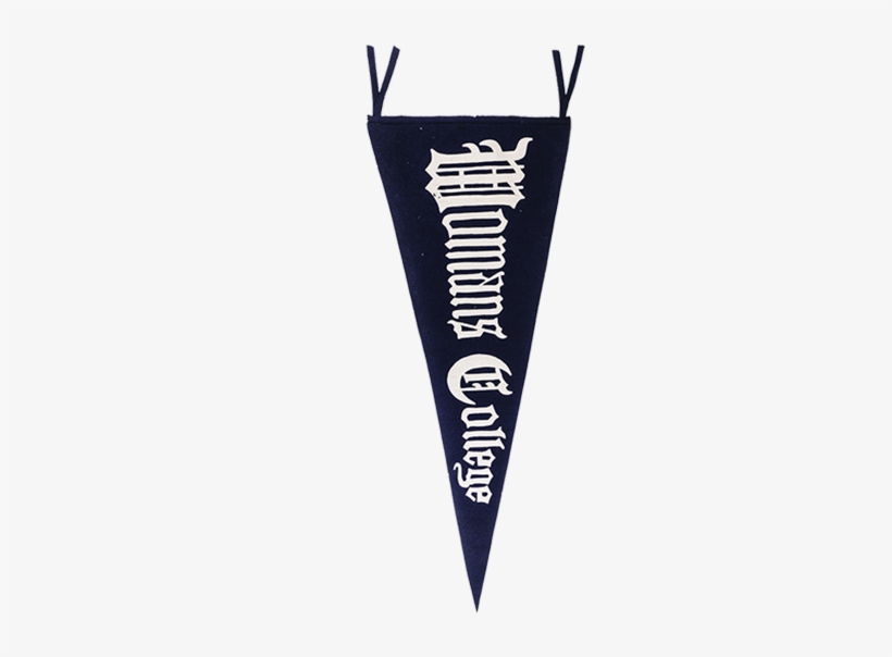 Download Womans College Pennant Flag | Transparent PNG Download | SeekPNG