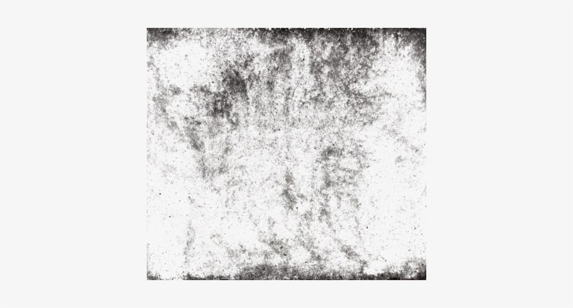 Download Mainpicture - Decal | Transparent PNG Download | SeekPNG