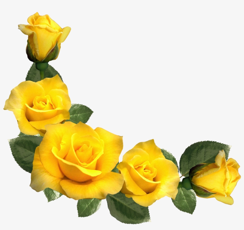 Clipart Rose Border