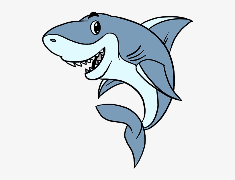 How To Draw A Cartoon Shark Easy Step By Drawing Guides PNG Image ...