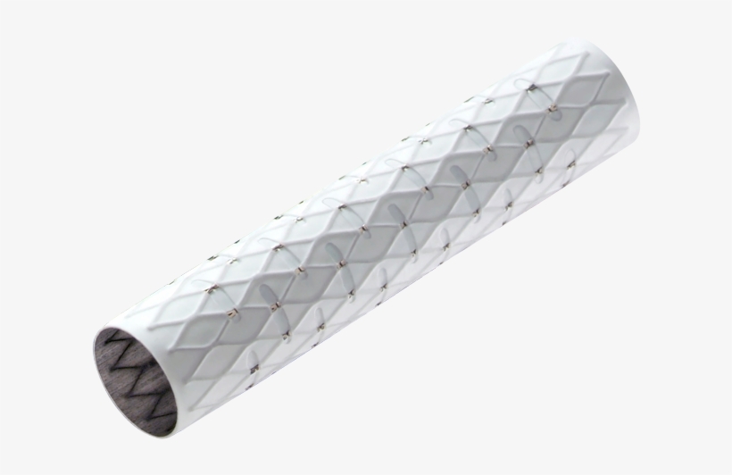 Endovascular Stents PNG Image | Transparent PNG Free Download on SeekPNG