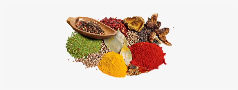 Spice Products - 12-piece Transparent Food Container Set PNG Image ...