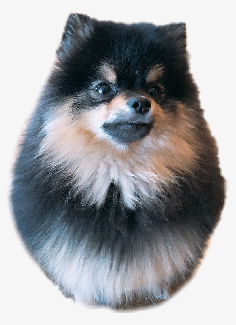 Report Abuse - Min Holly And Suga PNG Image | Transparent PNG Free ...