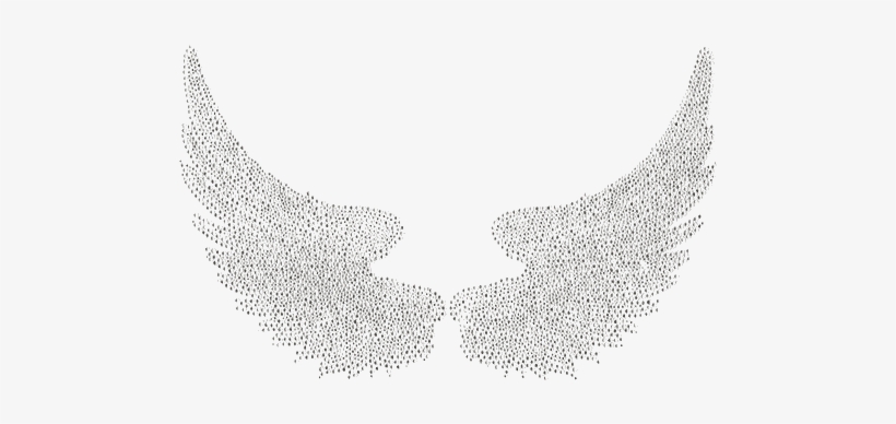 S2578s Clr medium All Clear Wings - Insect Wing PNG Image | Transparent ...