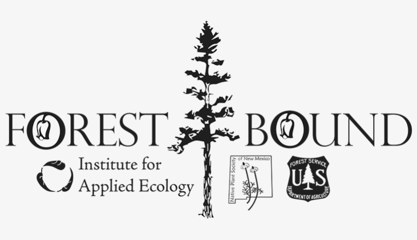 Southwest Ecological Education - Us Forest Service T-shirt, Forest ...