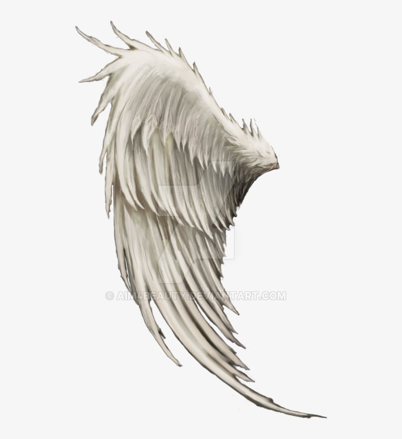 Exotic Angel - Dark Angel PNG Image | Transparent PNG Free Download on ...