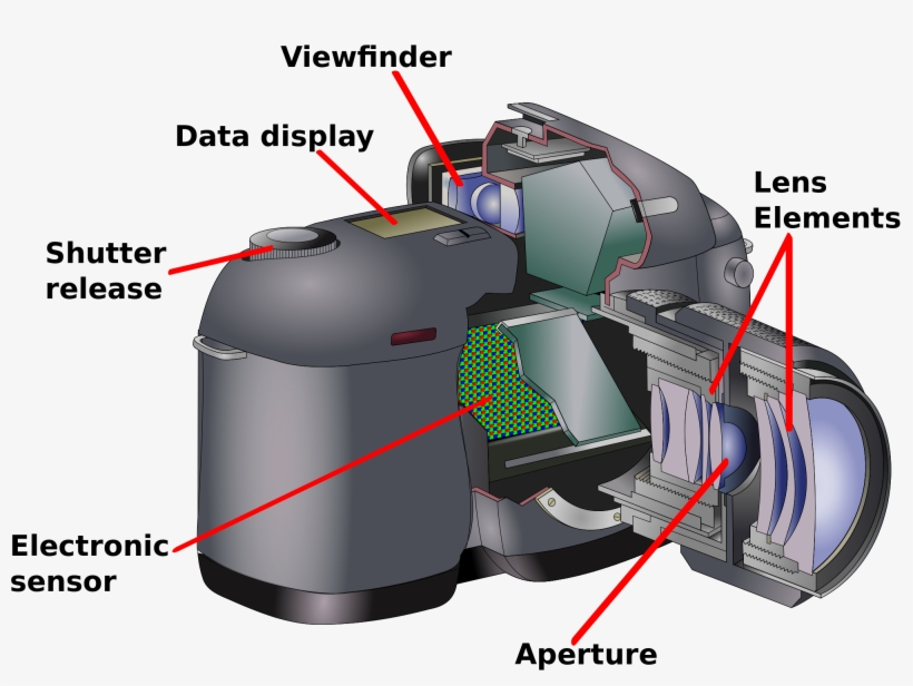 Basic Elements Of A Modern Still Camera - Parts Inside A Camera PNG ...