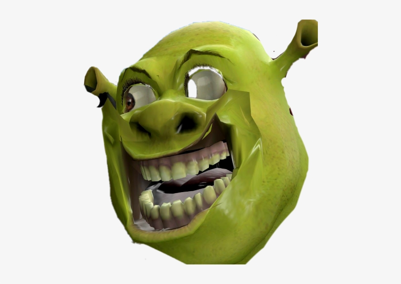 Download Shrek Dank Meme Face | Transparent PNG Download | SeekPNG