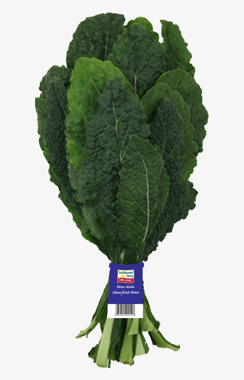 Kale Transparent Dino - Curly Kale PNG Image | Transparent PNG Free ...