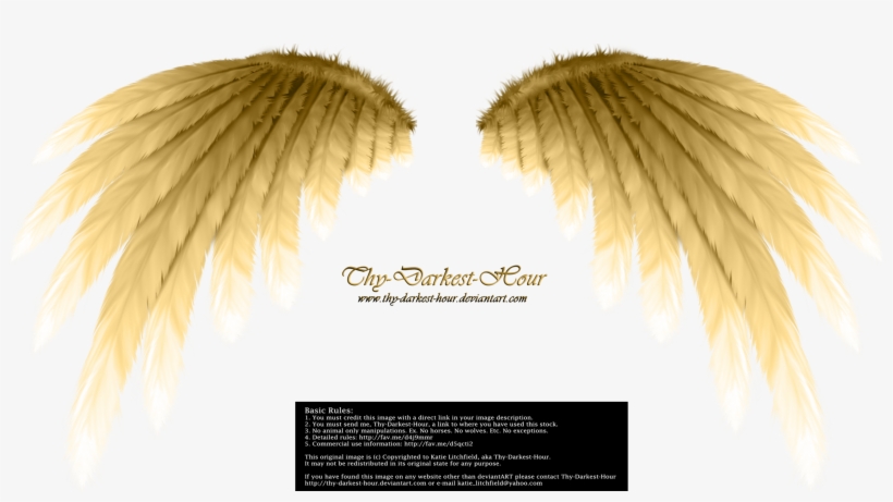 Angel Border Png PNG Image | Transparent PNG Free Download on SeekPNG