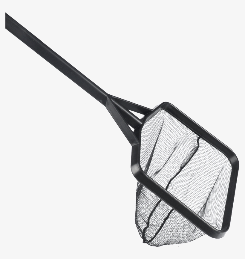 Lightbox Moreview - Transparent Aquarium Net PNG Image | Transparent ...