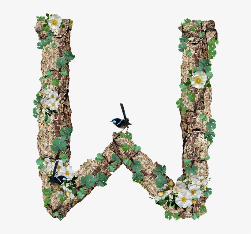Alphabet, Letter, W, Rustic, Timber, Bark - Alphabet PNG Image ...