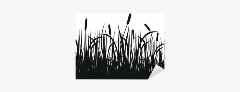 Reeds Vector PNG Image | Transparent PNG Free Download on SeekPNG