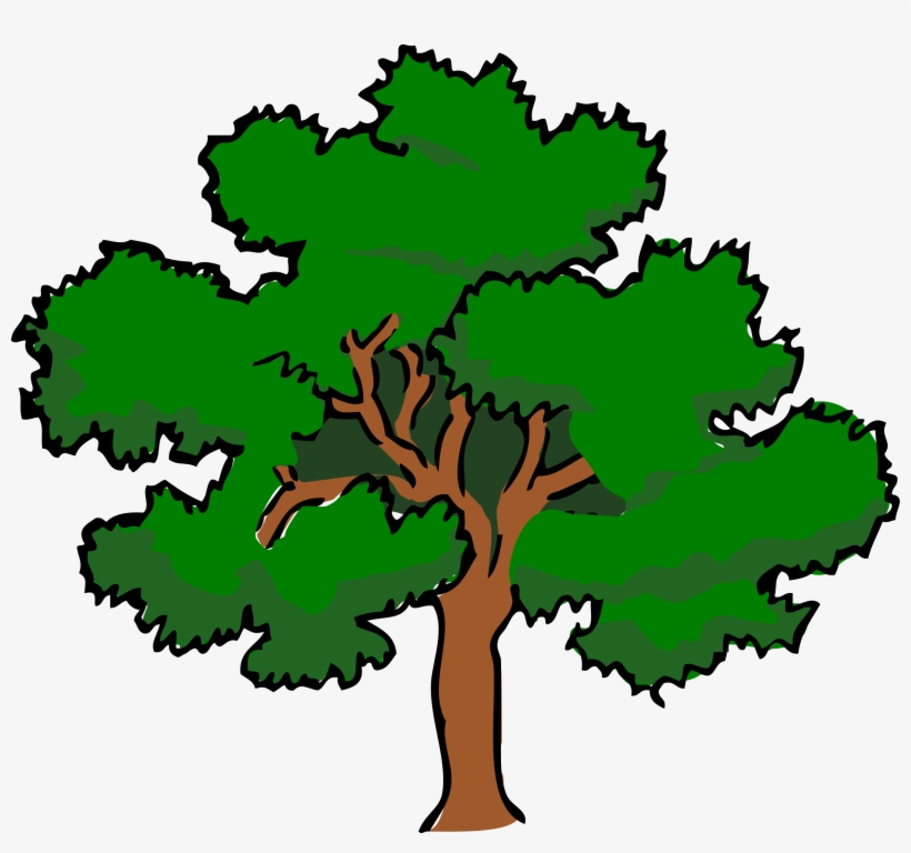 This Free Icons Png Design Of Oak Tree Redux PNG Image | Transparent ...