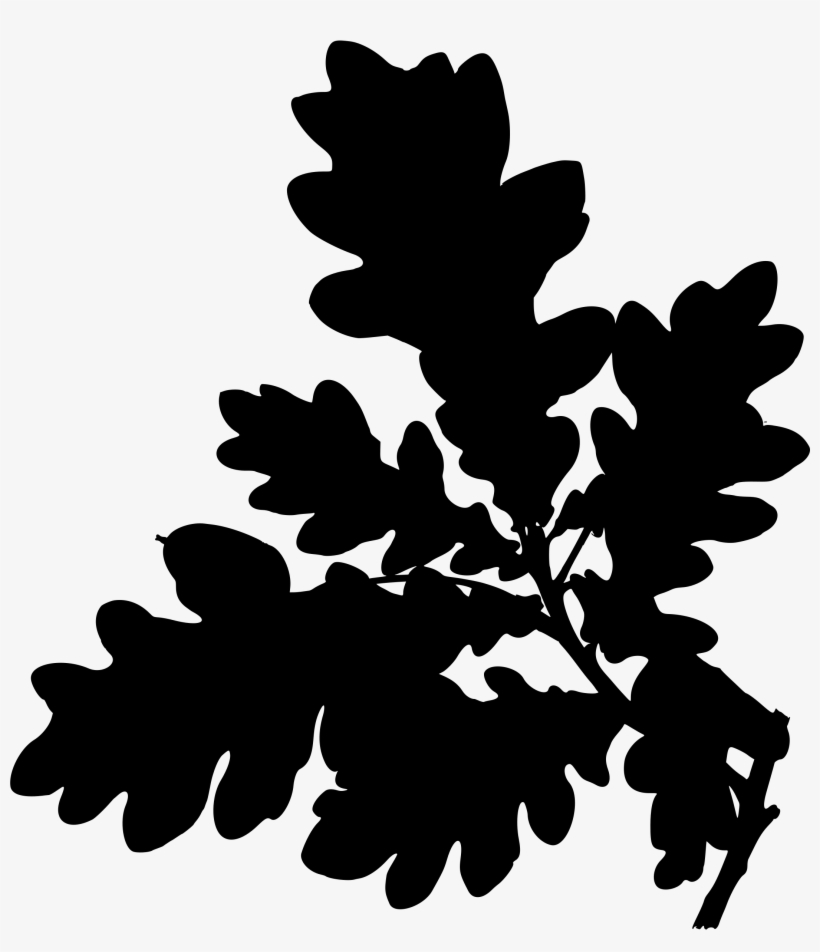 Source - Openclipart - Org - Report - Oak Tree Silhouette - Quercus Robur PNG Image ...