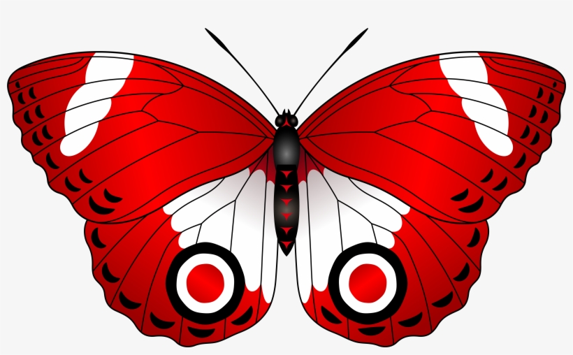 Red Butterfly PNG Image | Transparent PNG Free Download on SeekPNG