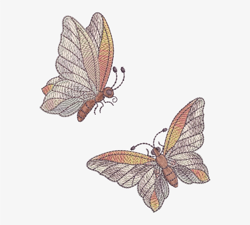 Sue Box Creations - Embroidery PNG Image | Transparent PNG Free ...